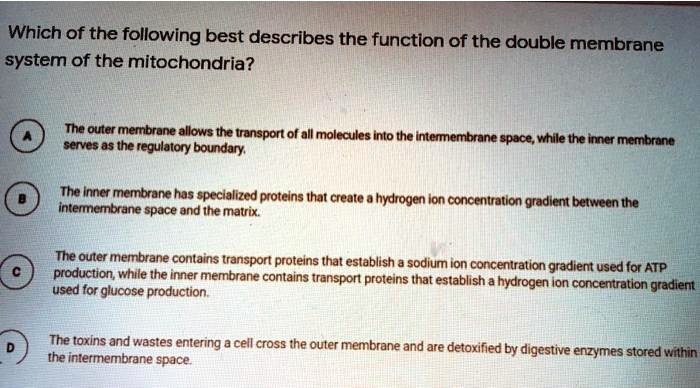 SOLVED: Which of the following best describes the function of the ...