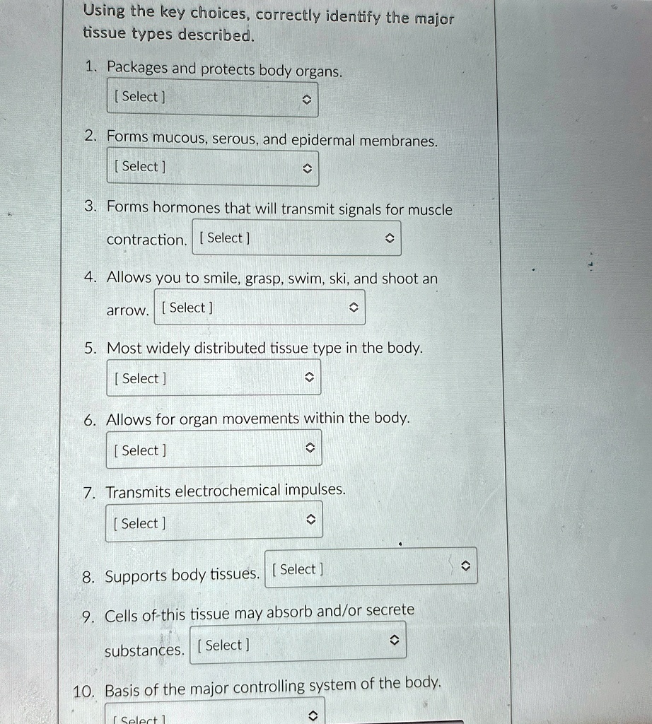 using the key choices correctly identify the major tissue types described 1 packages and ...