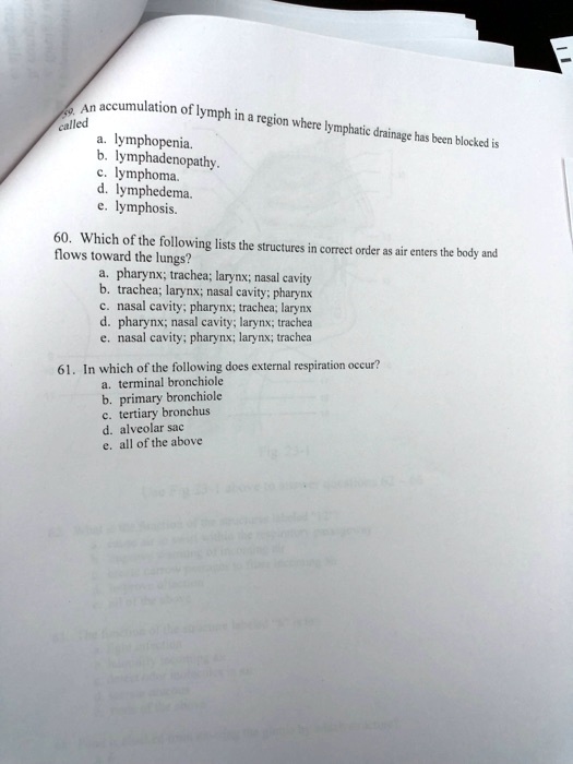 SOLVED: accumulation of = "Iymph in culled region where lymphatic ...