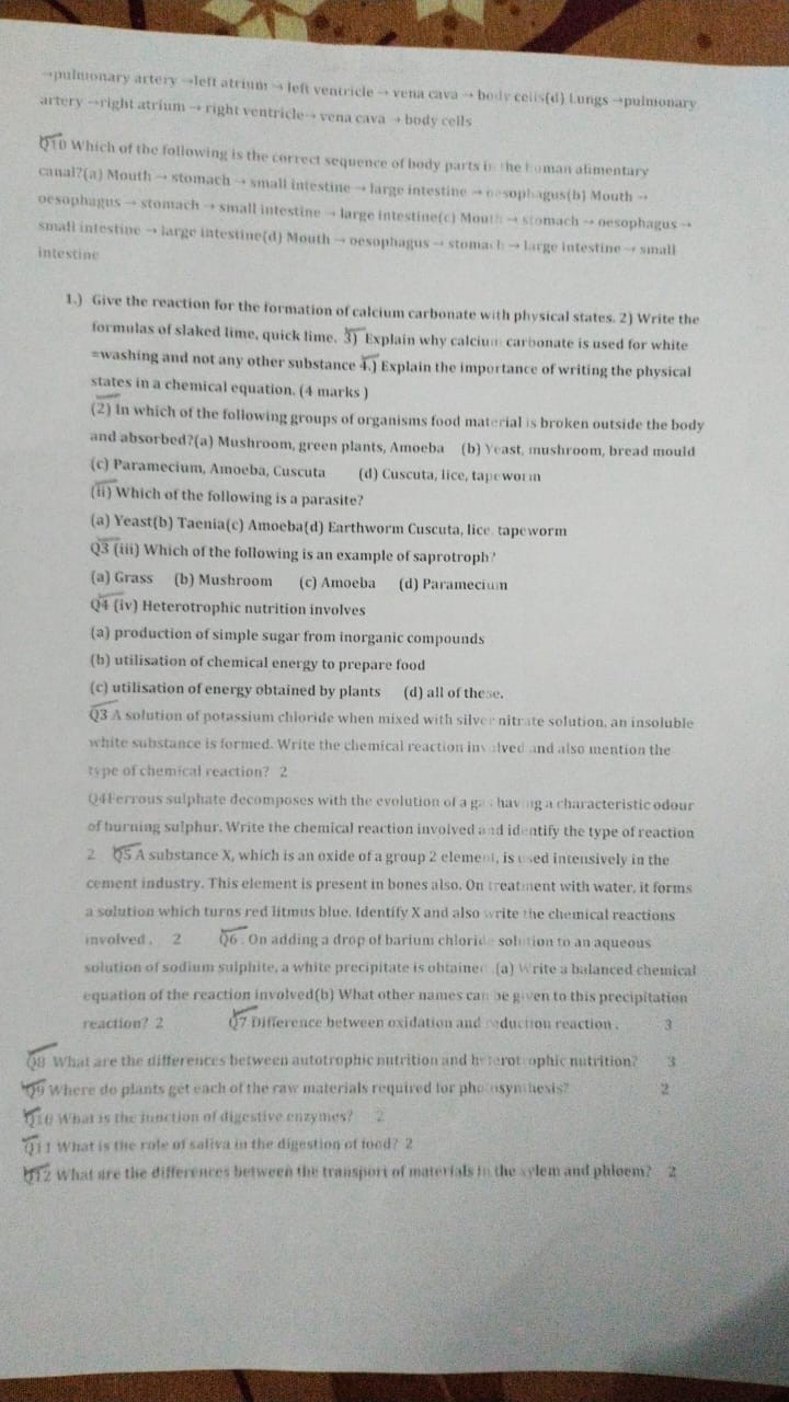 → juluonary artery → left atrius, → left venoricle → vena cava → body celis(d) Lungs → pulnonary ...