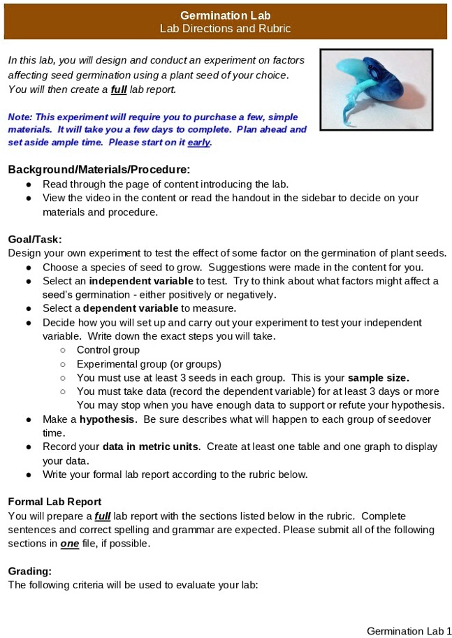SOLVED: Germination Lab Lab Directions and Rubric In this lab, you will ...