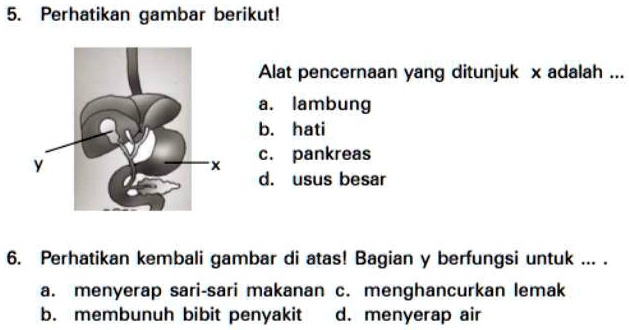 SOLVED: Tolong dijawab ya.. Dua pertanyaan saja Perhatikan gambar ... SOLVED: Tolong dijawab ya.. Dua pertanyaan saja Perhatikan gambar ...