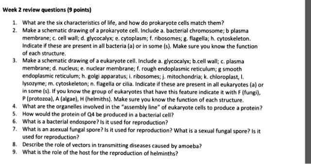 weck 2 review qucstions 9 points what are the six characteristics of ...