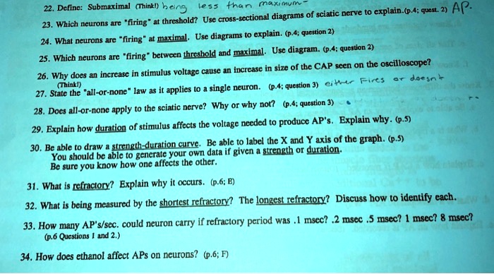 Solved 23 Which Neurons Are Firing At Threshold Use Cross Sectional Diagrams Of The Sciatic