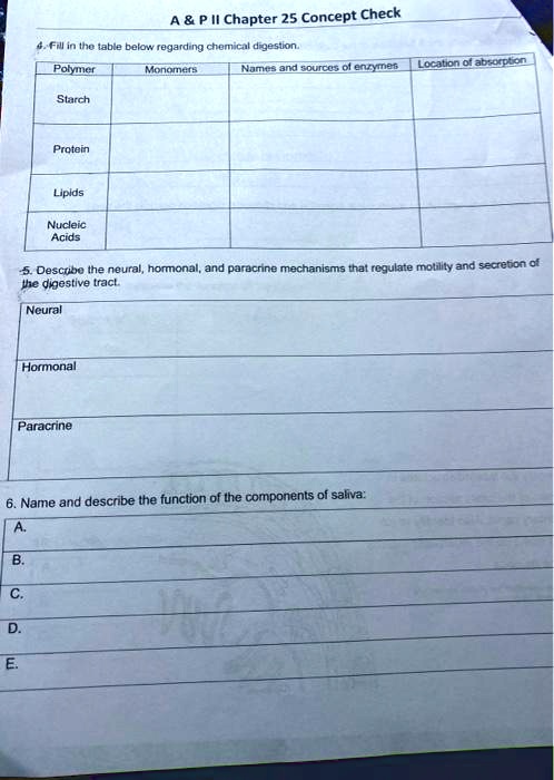 A P II Chapter 25 Concept Check 4. Fill in the table below regarding chemical digestion. Polymer ...