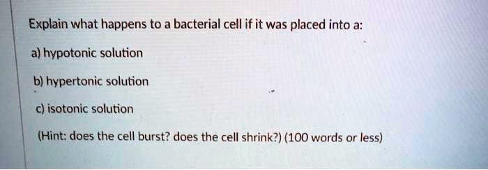 SOLVED: Explain what happens to a bacterial cell ifit was placed into a ...