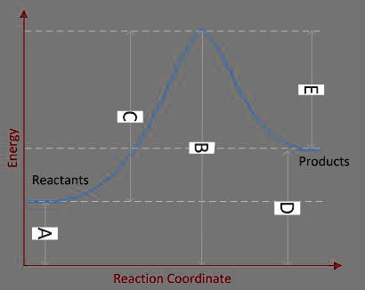 SOLVED: 'The above is an energy diagram for a reaction. Which letter ...