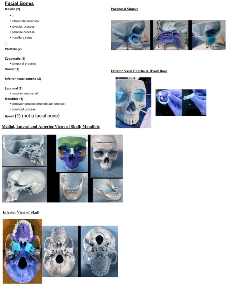 Locate the following terms to their location on the image ...