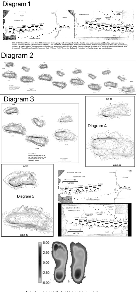 1 from an observation of the footprints in diagrams 4 5 write a ...