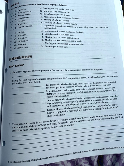 SOLVED: Hip Extension Circumduction Plantar flexion Dorsiflexion ...