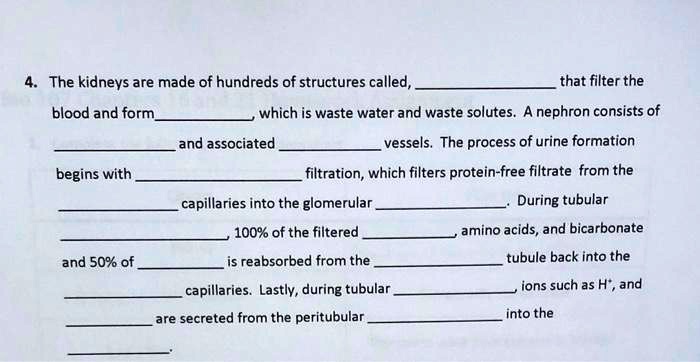 SOLVED: The kidneys are made of hundreds of structures called, that ...