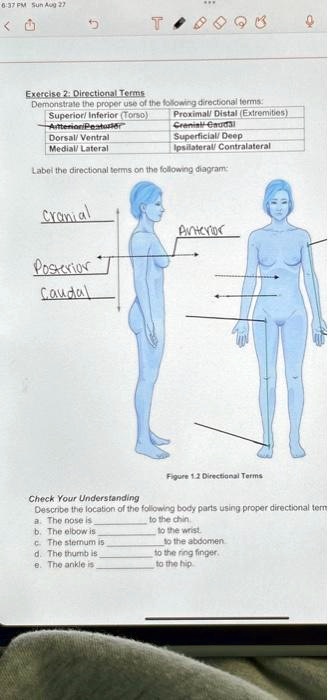 SOLVED: 6:37 PM Sun Aug 27 Exercise 2: Directional Terms Demonstrate ...