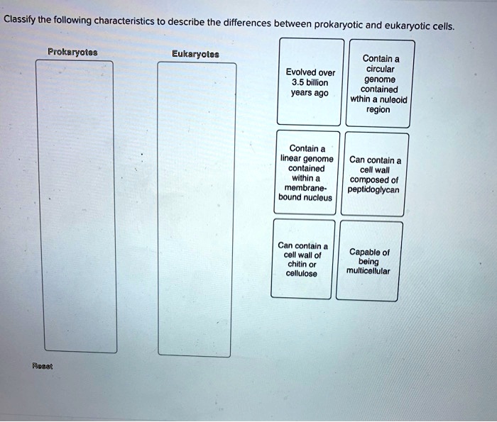 SOLVED: Classify the following characteristics to describe the differences between prokaryotic ...