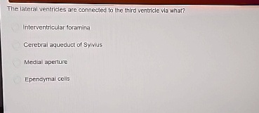 the lateral ventricles are connected to the third ventricle via what ...