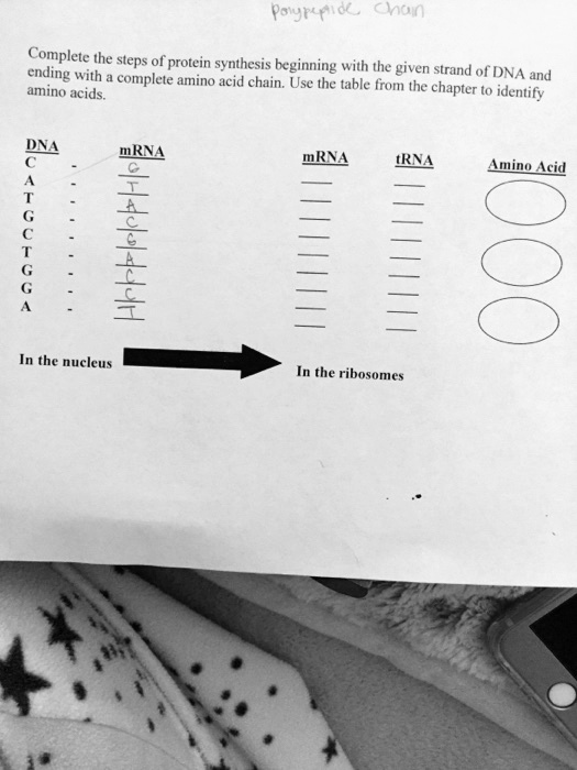 SOLVED: Poiyrerd cho Complete ending - the steps of protein synthesis ...