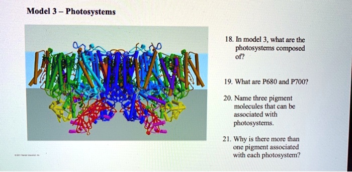 SOLVED: Model 3 Photosystems 18. In model 3 what are the photosystems ...