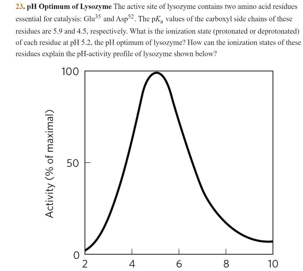 23. pH Optimum of Lysozyme The active site of lysozyme contains two ...