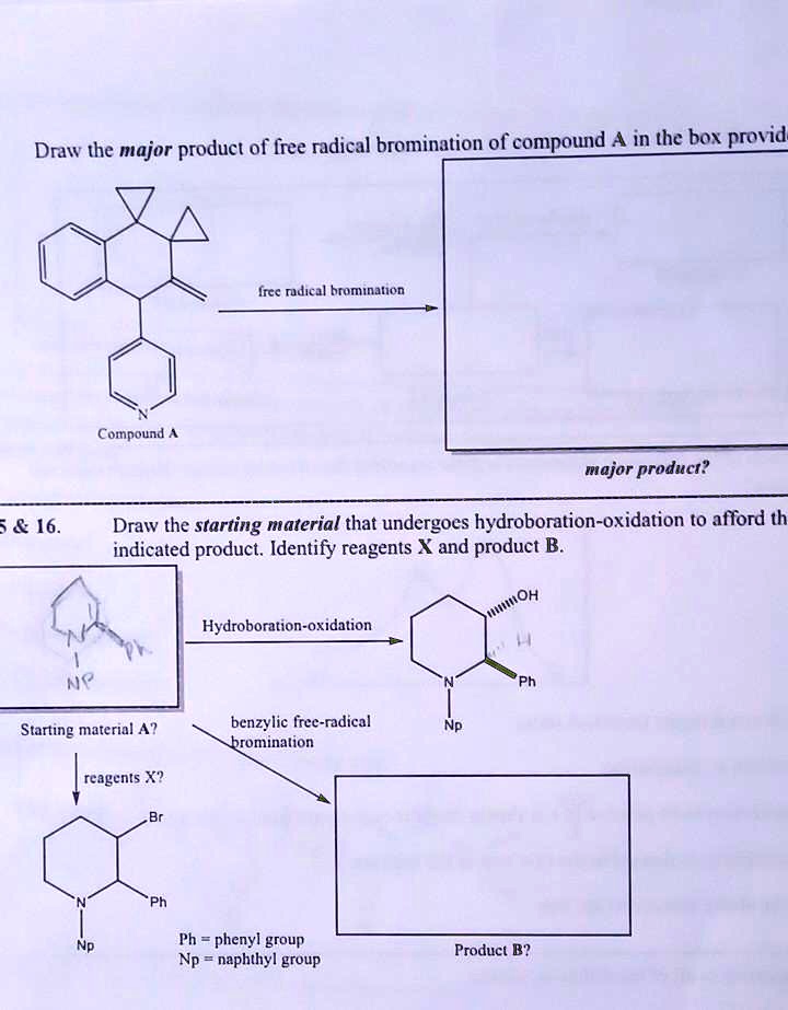 SOLVED: Draw the major product of free radical bromination of compound ...