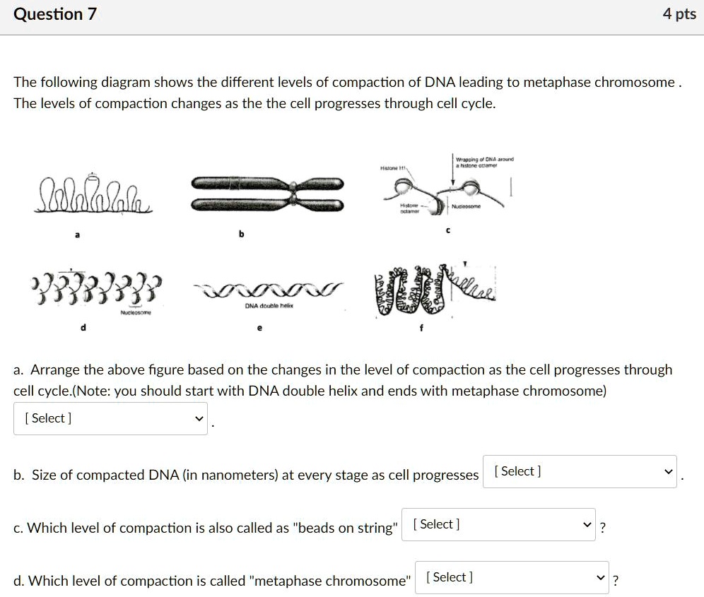 SOLVED: The following diagram shows the different levels of compaction ... SOLVED: The following diagram shows the different levels of compaction ...