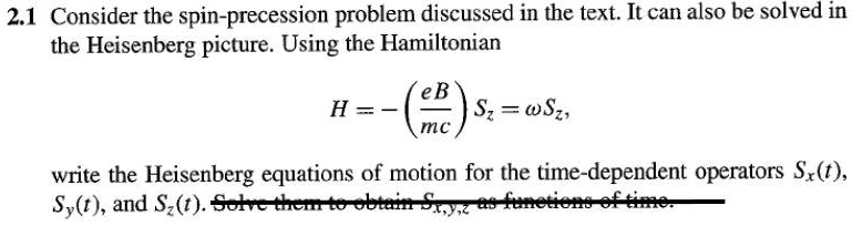 Consider the spin-precession problem discussed in the text. It can also ...