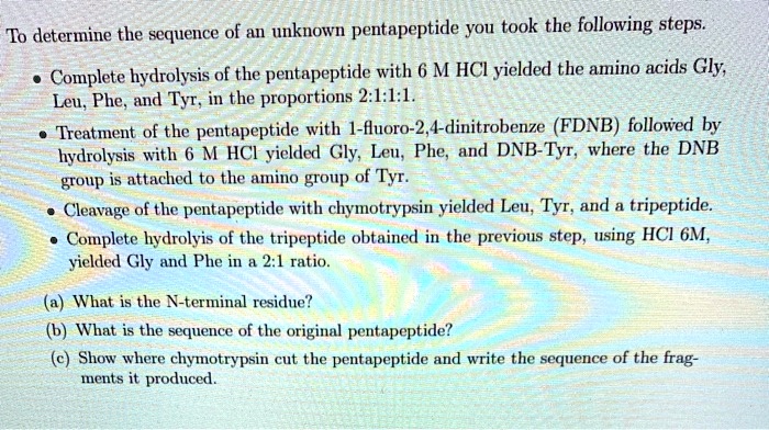 to determine the sequence of an unknown pentapeptide you took the ...