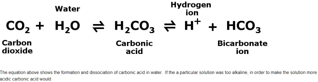water hydrogen ion hzco3 h hco3 carbonic bicarbonate acid ion coz hzo carbon dioxide the ...