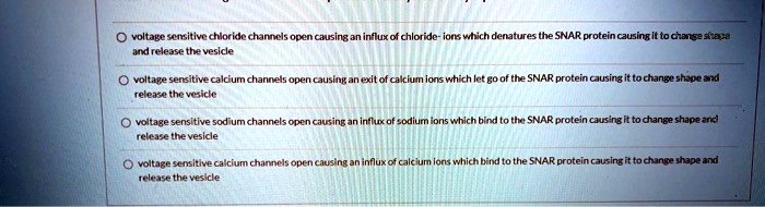 SOLVED: yoltagescriva cuaricc cmc/5 open cusins Hean en5 the vesicle ...