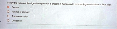 identify the region of the digestive organ that is present in humans ...