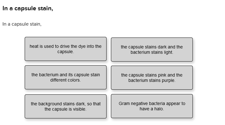 In A Capsule Stain In A Capsule Stain In A Capsule Stain In A Capsule Stain Heat Is Used To