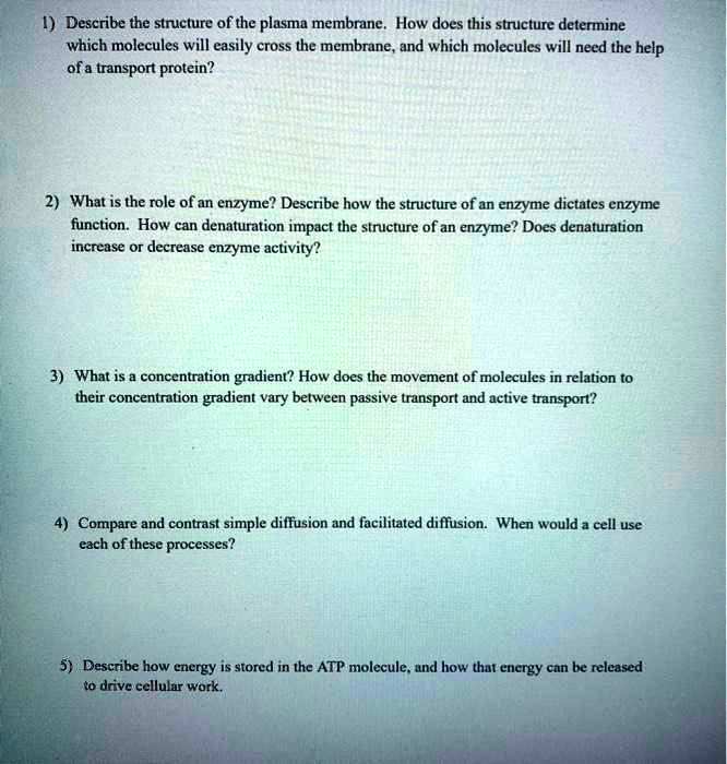 SOLVED: Describe the structure of the plasma membrane. How does this ...