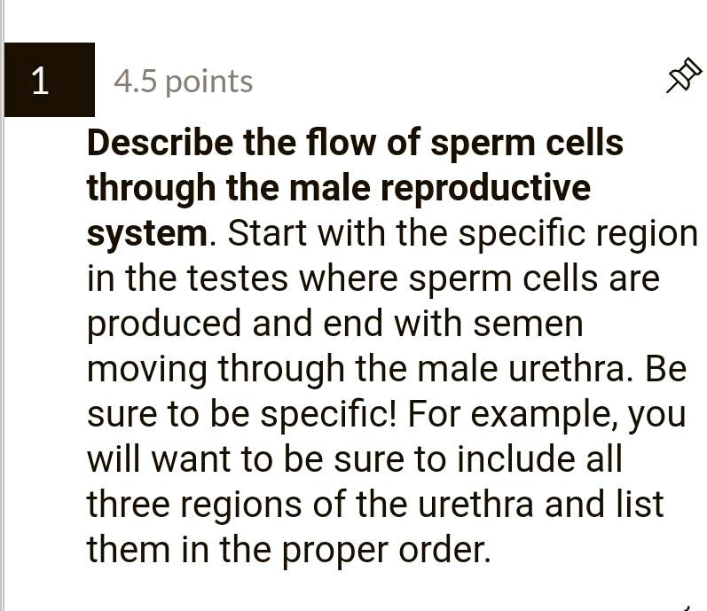 1 4.5 points Describe the flow of sperm cells through the male ...