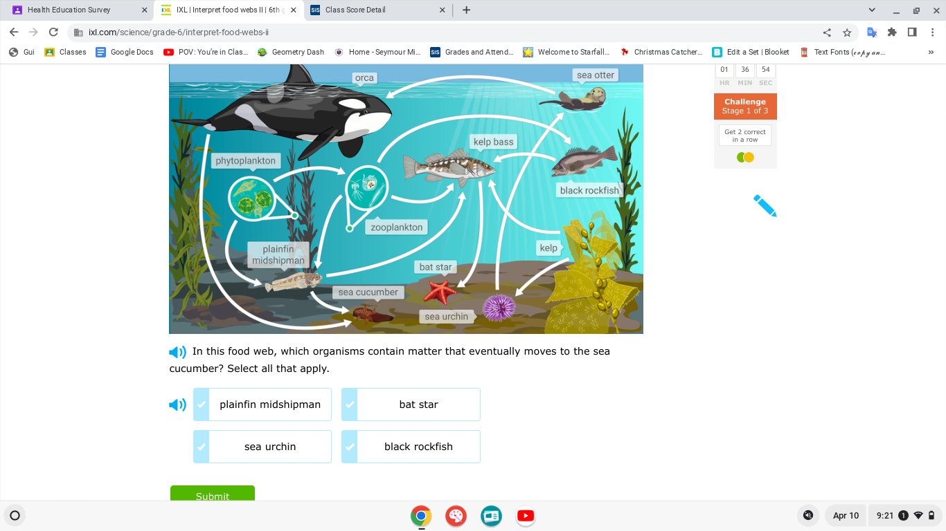 SOLVED: Health Education Survey |XL | Interpret food webs I| 6th Class ...