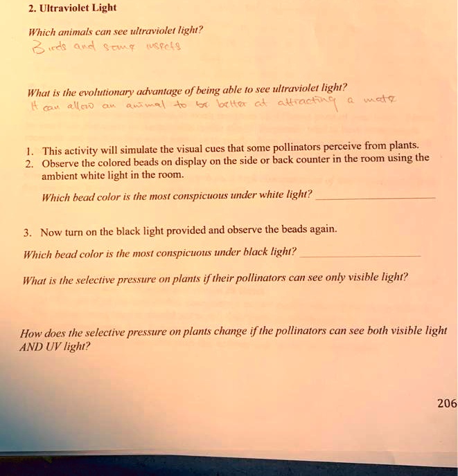 2ultraviolet light which animals can see ultraviolet light...