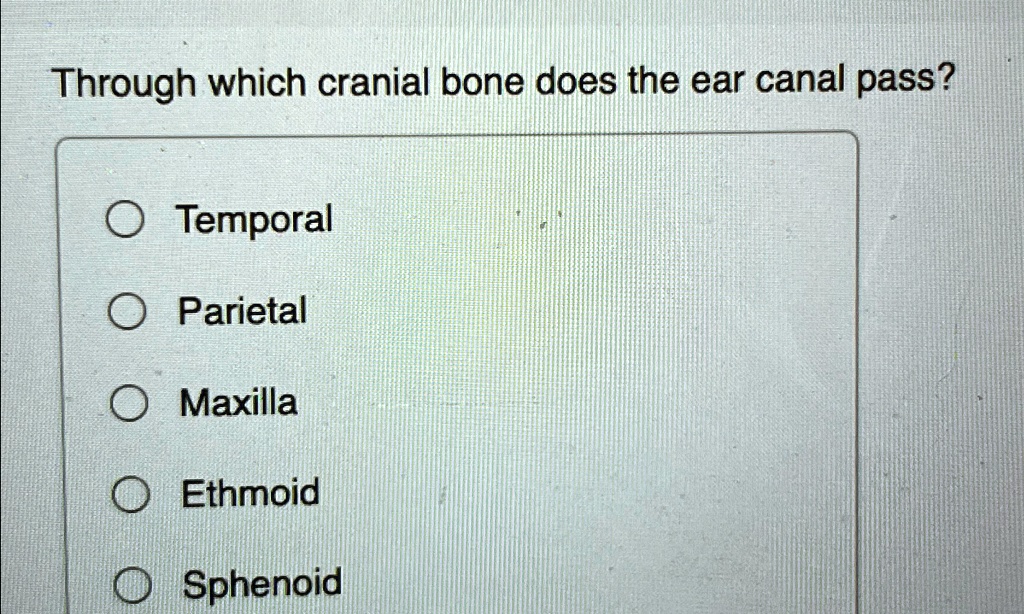 Through which cranial bone does the ear canal pass? Temporal Parietal ...