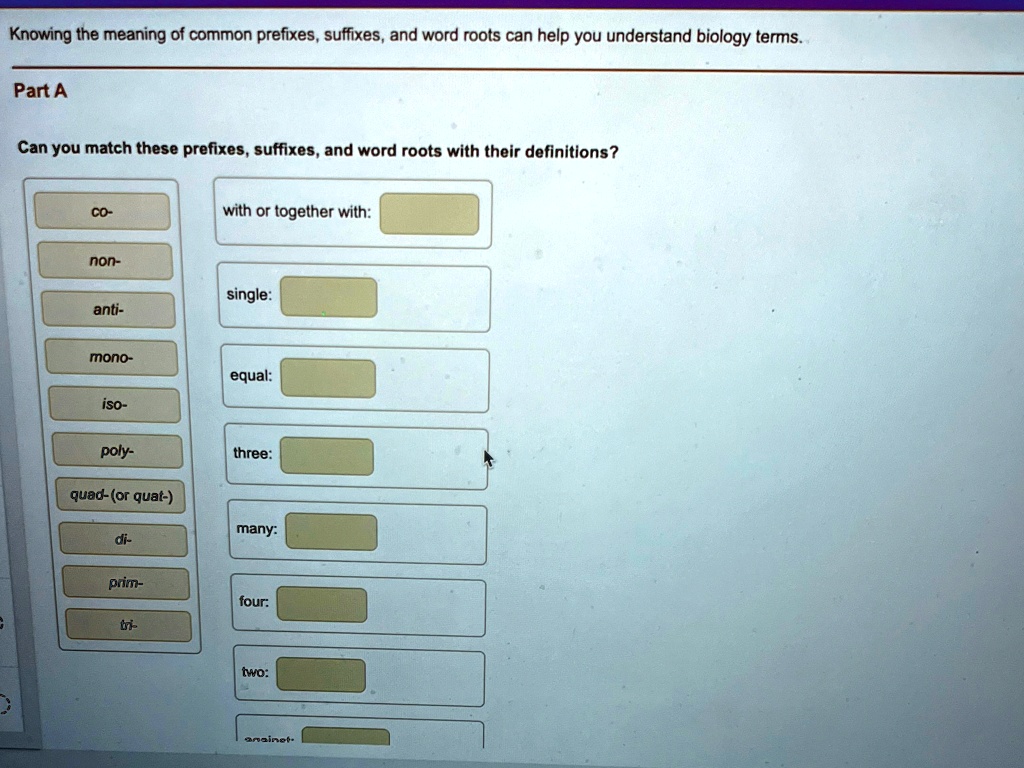 knowing the meaning of common prefixes suffixes and word roots can help ...