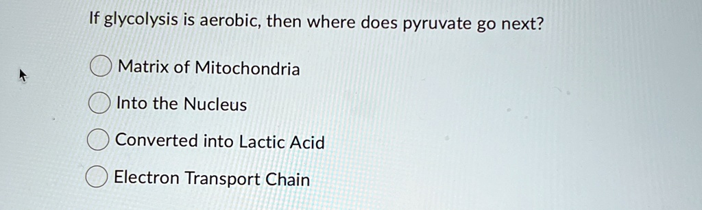 If glycolysis is aerobic, then where does pyruvate go next? Matrix of ...