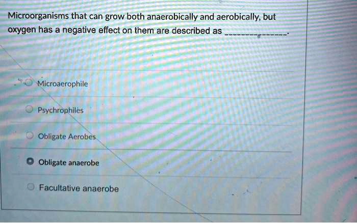 SOLVED: Microorganisms that can grow both anaerobically and aerobically ...