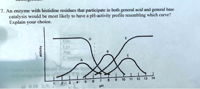 SOLVED: An enzyme with histidine residues that participate in both general acid and general base ...