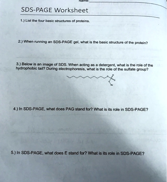 sds page worksheet 1 list the four basic structures of proteins 2 when ...