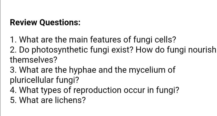 SOLVED: Review Questions: 1. What are the main features of fungal cells ...