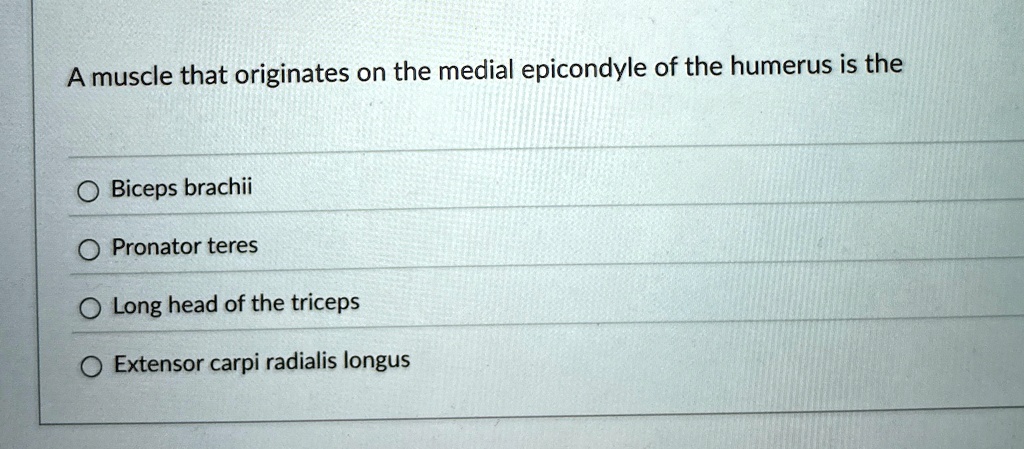 A muscle that originates on the medial epicondyle of the humerus is the ...