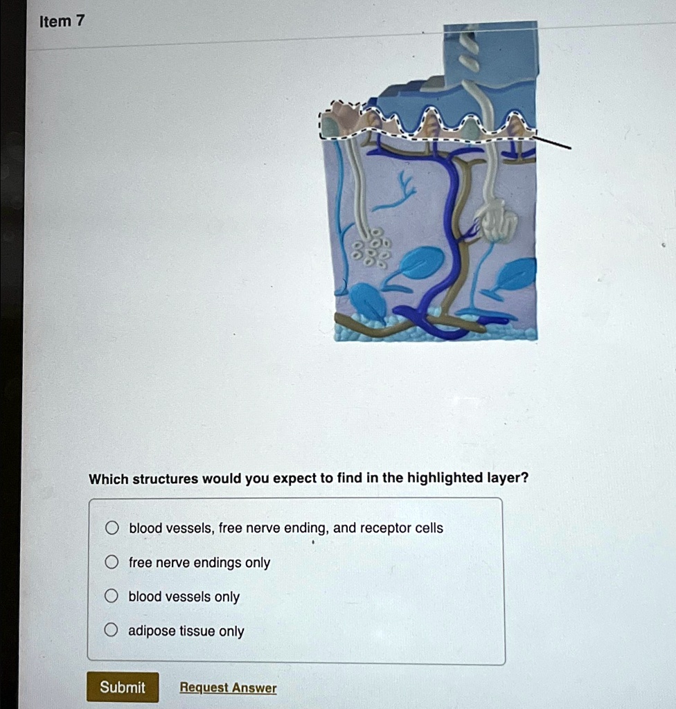item 7 which structures would you expect to find in the highlighted ...