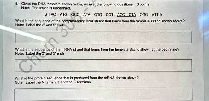 SOLVED: 5. Given the DNA template shown below, answer the following questions. (3 points) Note ...
