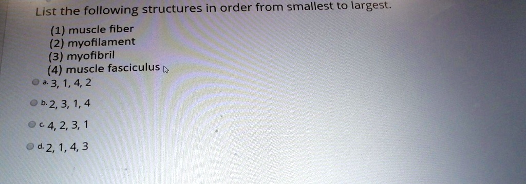 list the following structures in order from smallest to largest 17 muscle fiber 2 myofilament 3 ...