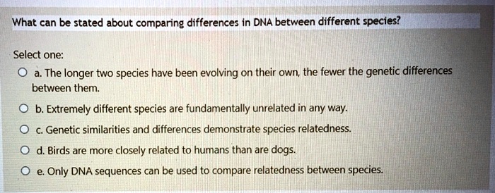 what can be stated about comparing differences in dna between different ...