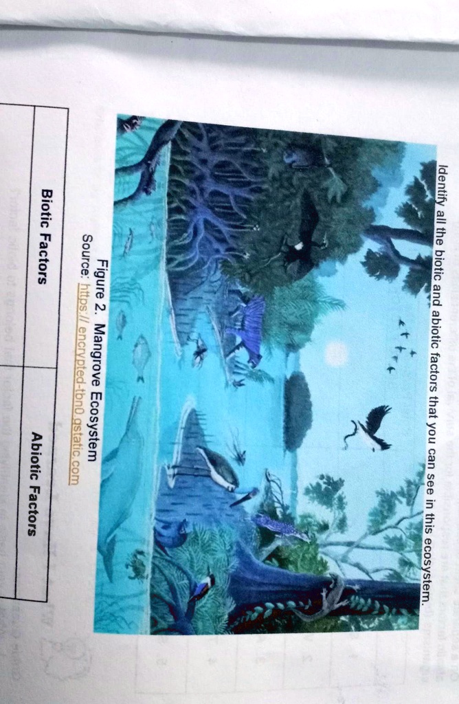 Identify all the biotic and abiotic factors that you can see in this ...