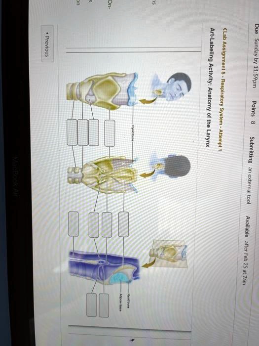 On- S On Due Sunday by 11:59pm Points 8 Submitting an external tool ...