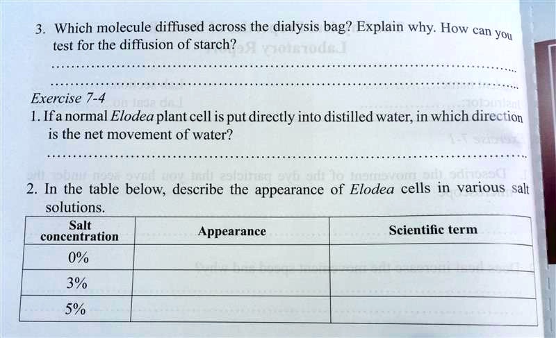 SOLVED: Which molecule diffused across the dialysis bag? Explain why ...