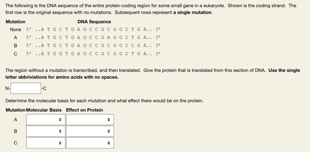 SOLVED: Texts: The following is the DNA sequence of the entire protein ...