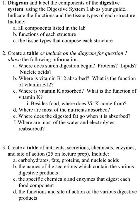 1. Diagram and label the components of the digestive system, using the ...